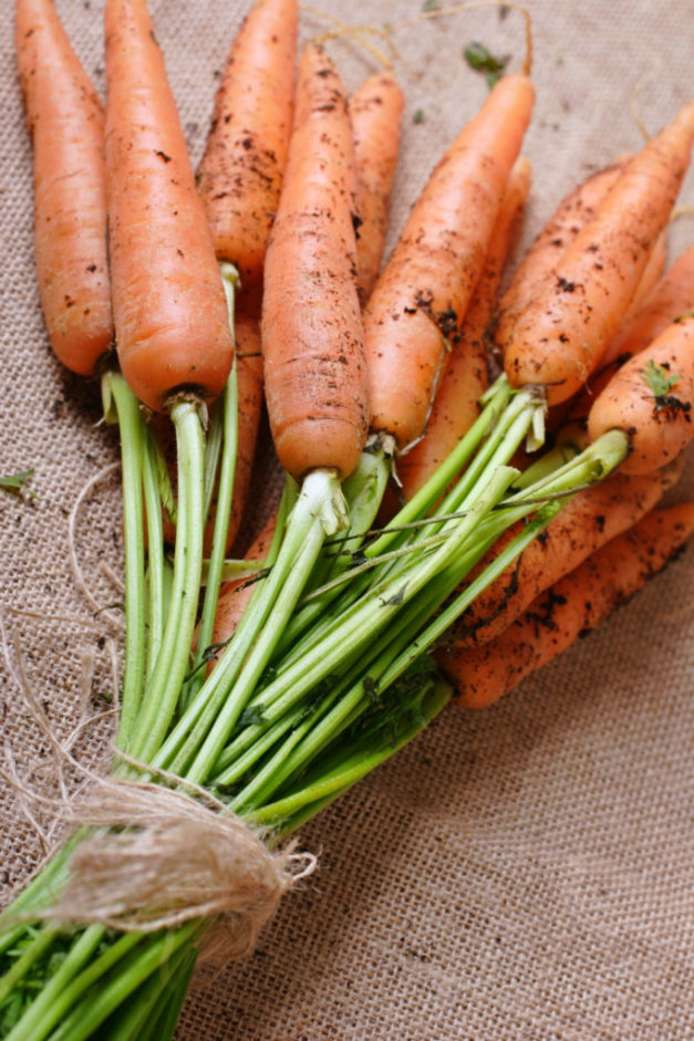 How to Grow Carrots + 15 Carrot Recipes - Slap Dash Mom
