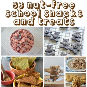 Top 100 Low Calorie Snacks - Slap Dash Mom