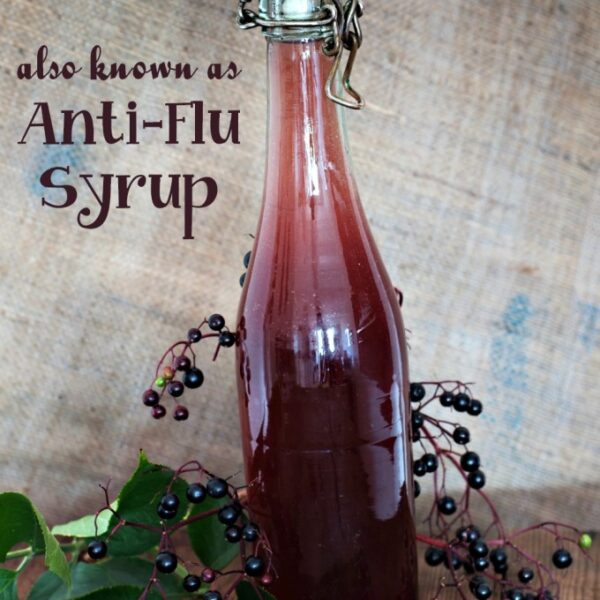 Elderberry and Honey Syrup Anti-Flu Syrup - Slap Dash Mom
