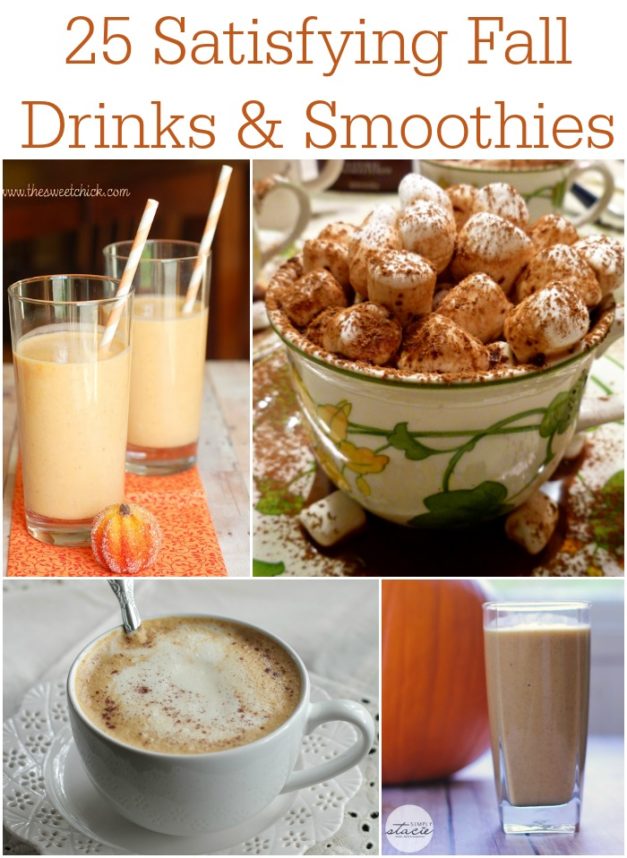 25 Fall Drinks and Smoothies - Slap Dash Mom