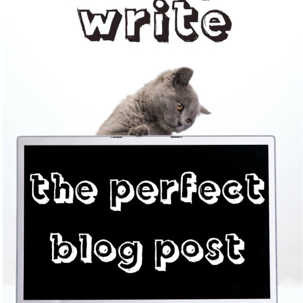 How to Get Sponsors to Notice Your Blog