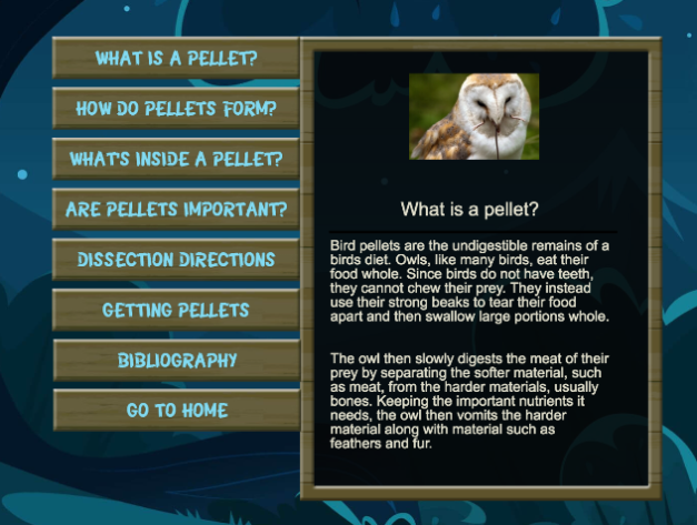 How to Dissect Owl Pellets: Homeschool Project - Slap Dash Mom