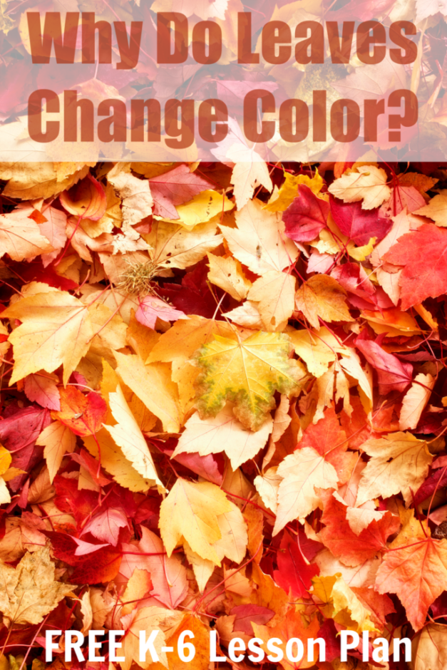 Why Do Leaves Change Color? Free Leaves Unit Study - Slap Dash Mom