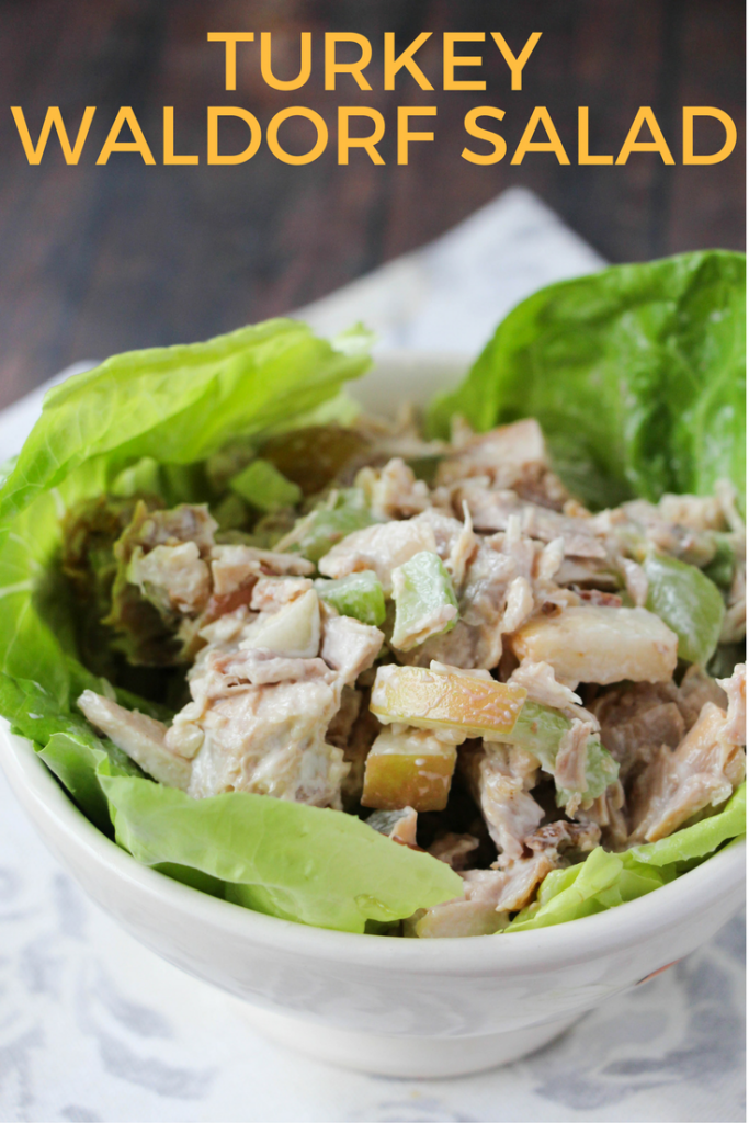Turkey Waldorf Salad - Slap Dash Mom