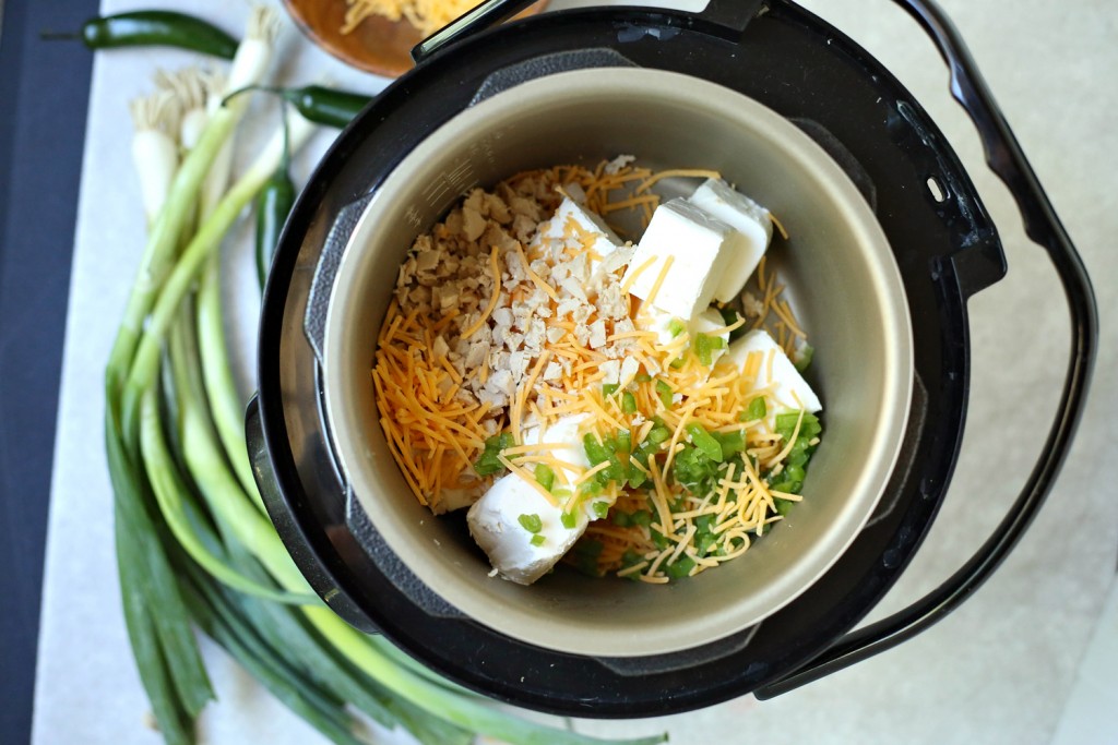 Instant Pot Jalapeno Dip - 1 Point FREESTYLE - Slap Dash Mom