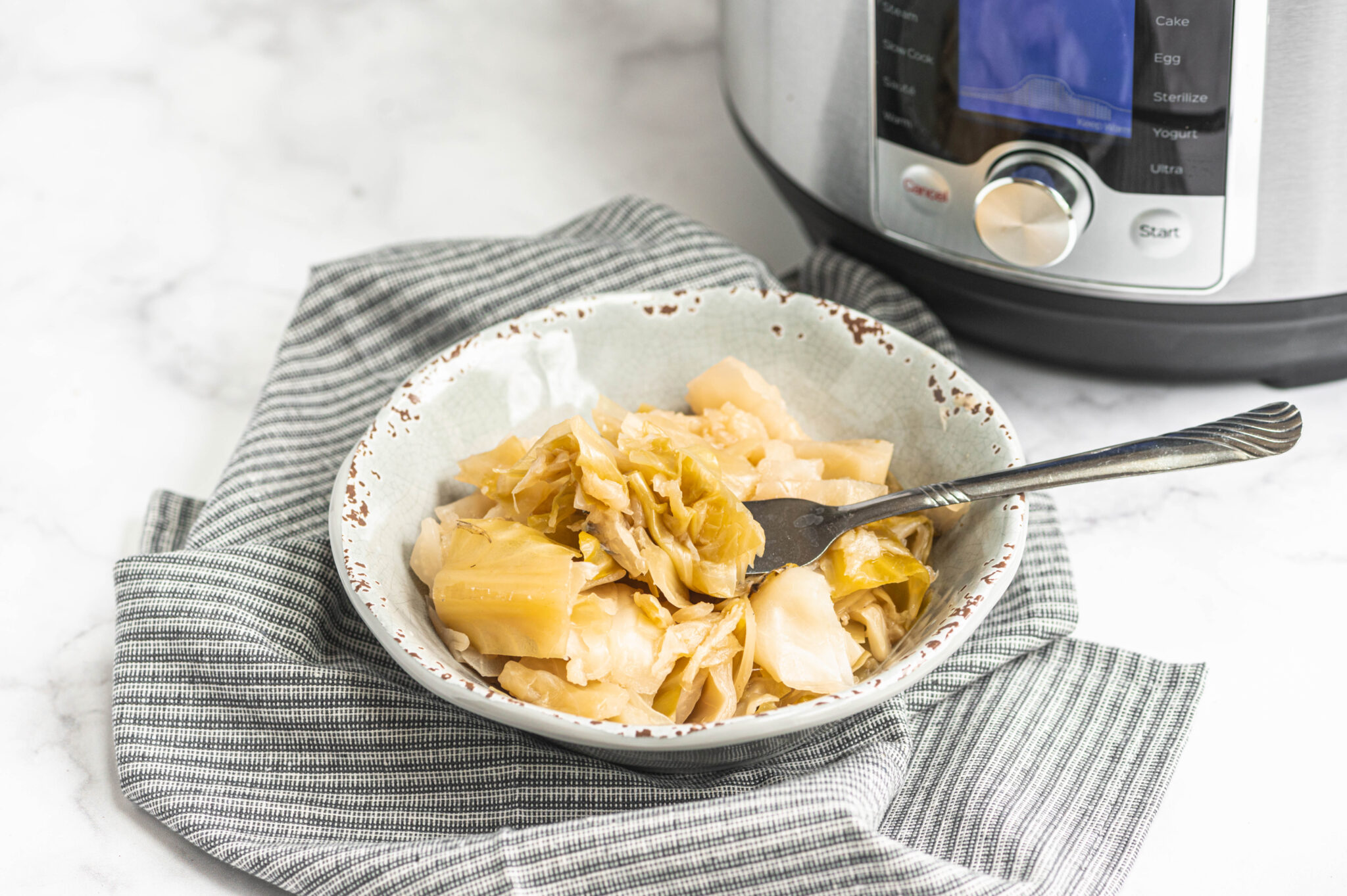 Instant Pot - Slap Dash Mom