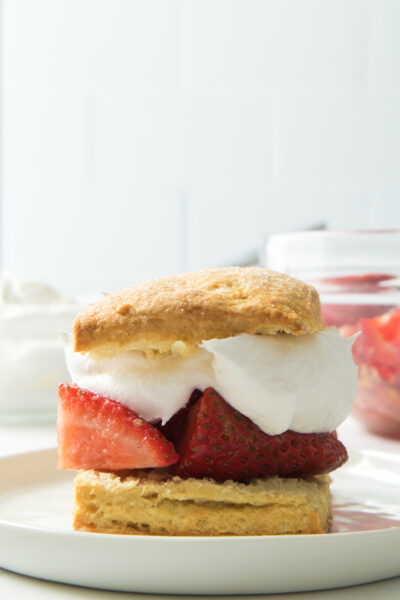 WW Strawberry Shortcake - Slap Dash Mom