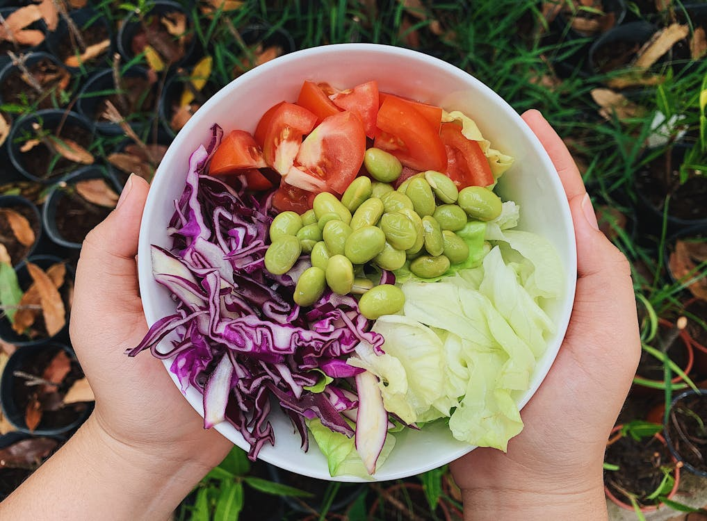How to Cook Delicious Meals While Healing Naturally - Slap Dash Mom
